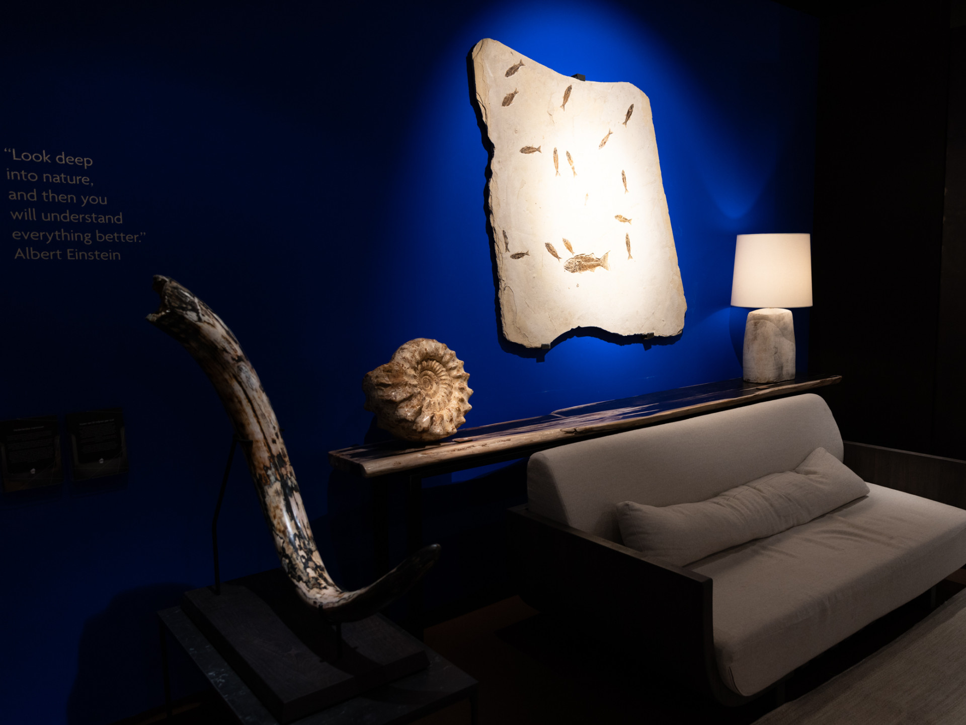 Stone gallery | Officiële website - Stone gallery - Official website